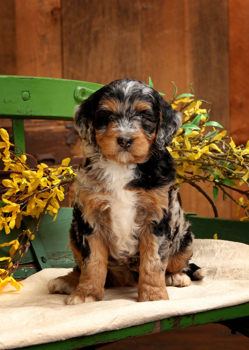 Winnie